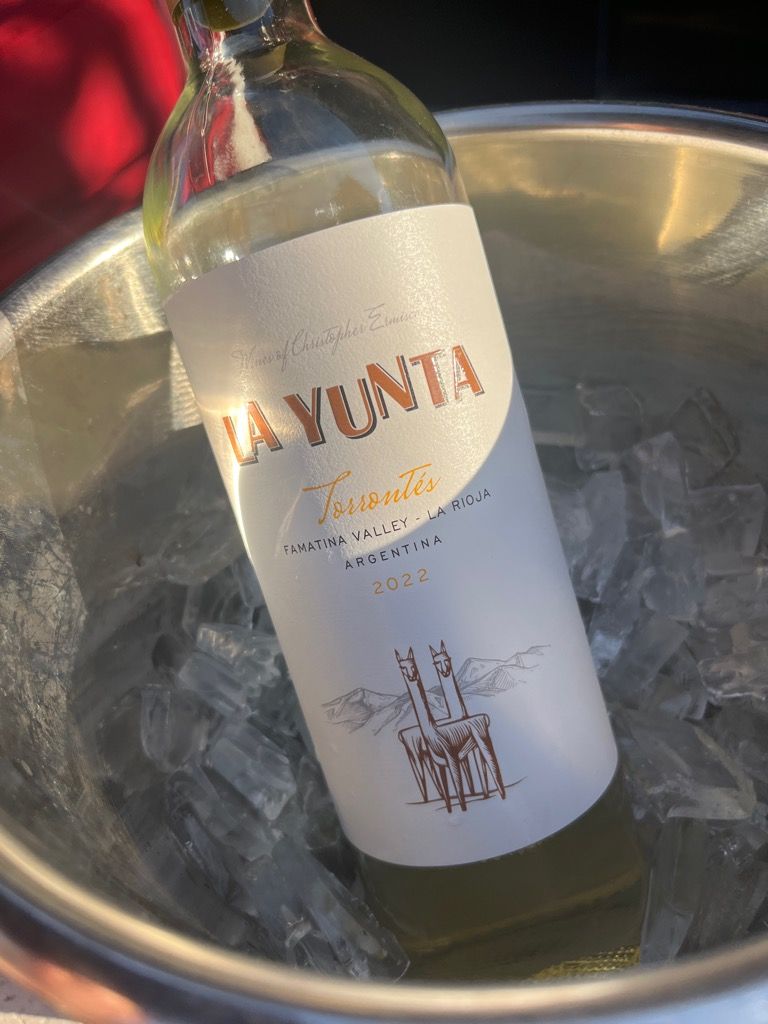 2022 La Yunta Torrontés, Argentina, La Rioja, Famatina Valley ...