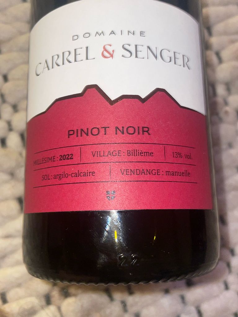 2022 Domaine Carrel & Senger Pinot Noir Billième, France, Savoie, Vin ...