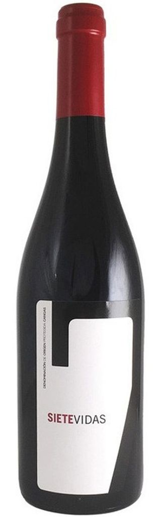 2019 Bodega Vidas Siete Vidas Tinto, Spain, Asturias, Vino de la Tierra ...