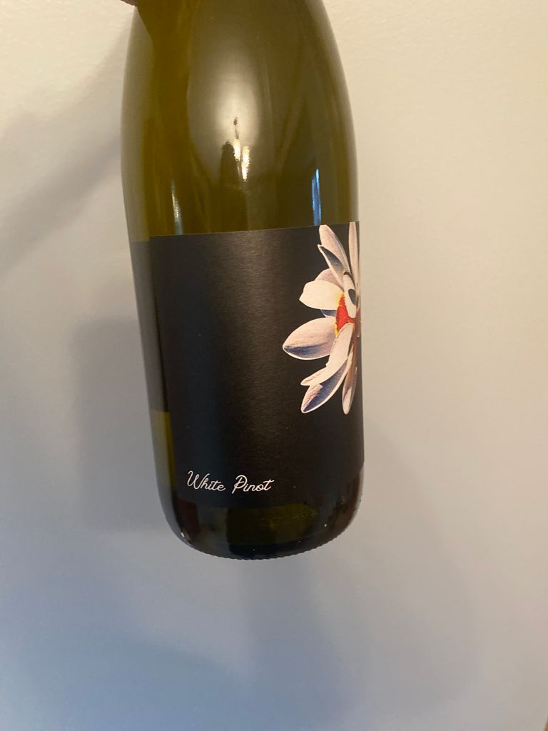 2023 Dot Wine "White Pinot", USA, California, Sonoma County, Russian ...