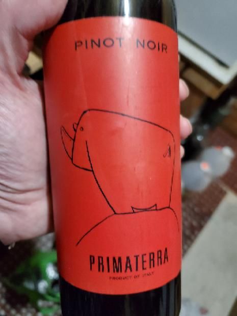 2007 Primaterra Pinot Noir Delle Venezie, Italy, Delle Venezie ...