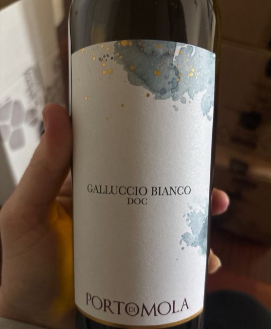 2021 Porto di Mola Galluccio Bianco, Italy, Campania, Galluccio ...