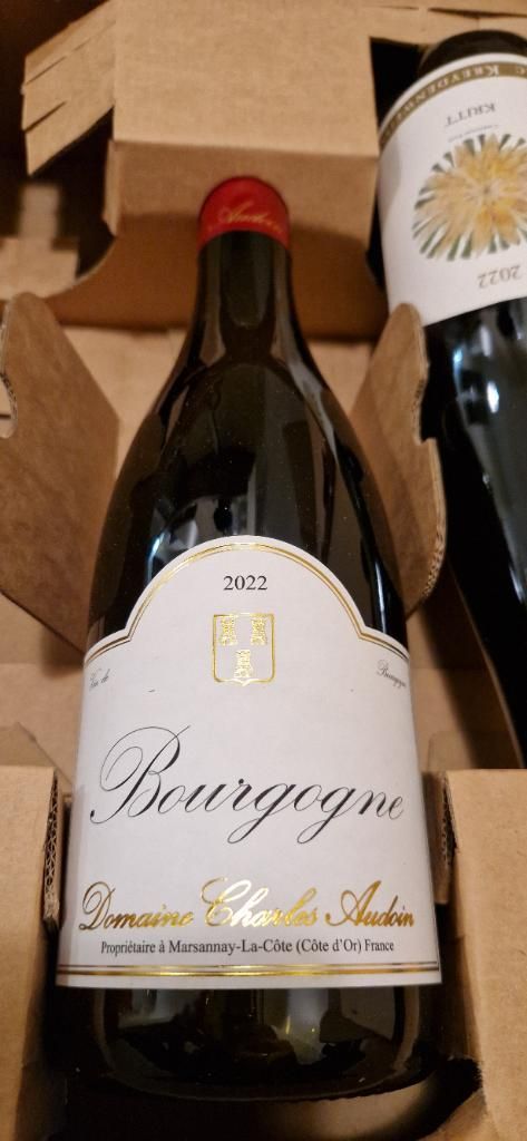 2022 Domaine Charles Audoin Bourgogne, France, Burgundy, Bourgogne ...