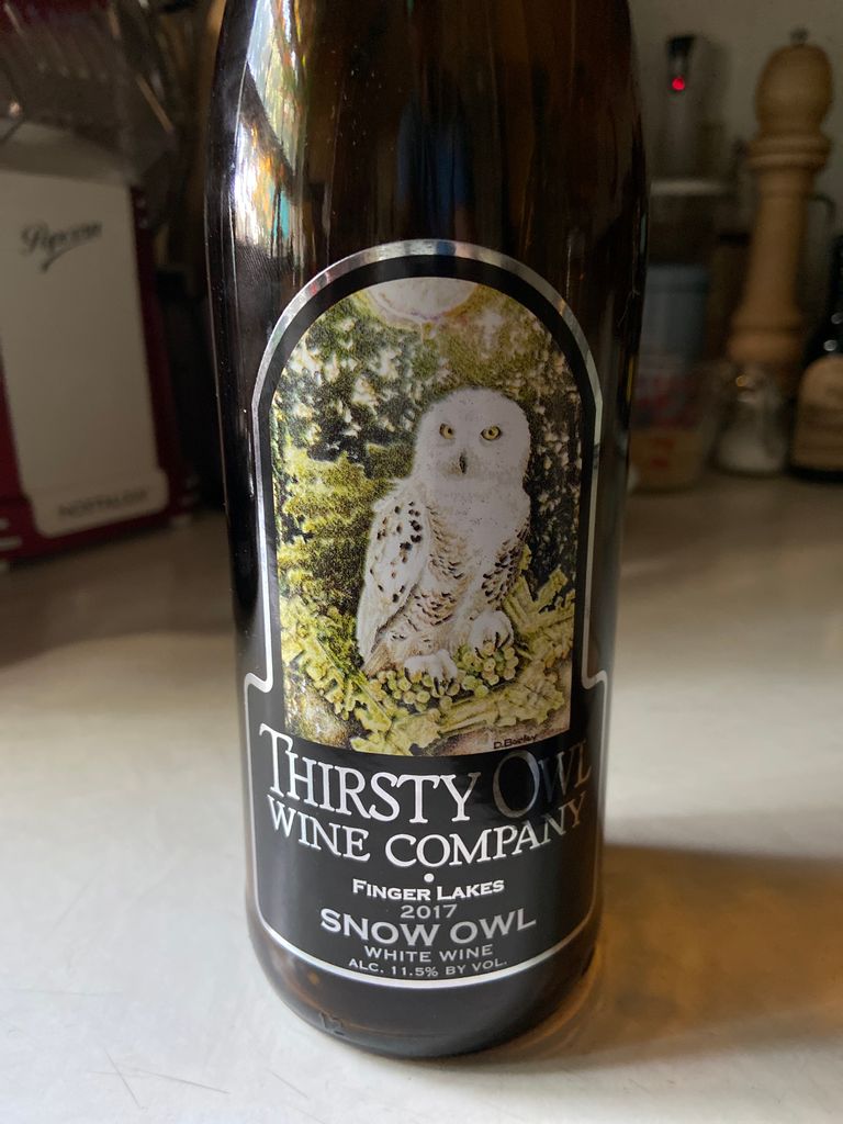 2022 Thirsty Owl Snow Owl, USA, New York, Finger Lakes, Cayuga Lake ...