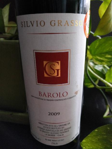 2009 Silvio Grasso Barolo, Italy, Piedmont, Langhe, Barolo - CellarTracker