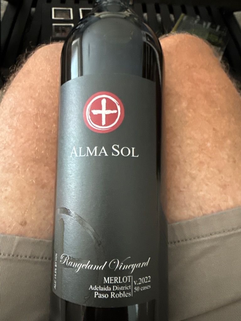 2021 Alma Sol Winery Merlot, USA, California, Central Coast, Paso ...