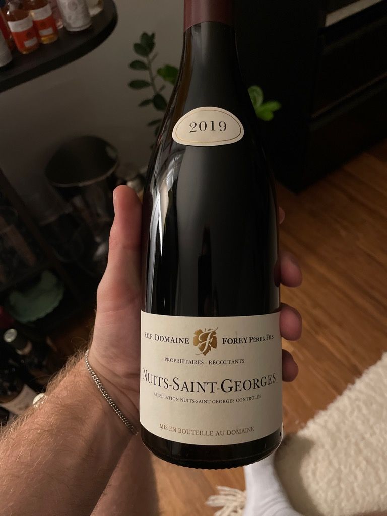 2019 Forey Père et Fils Nuits St. Georges, France, Burgundy, Côte de Nuits, Nuits St. Georges ...