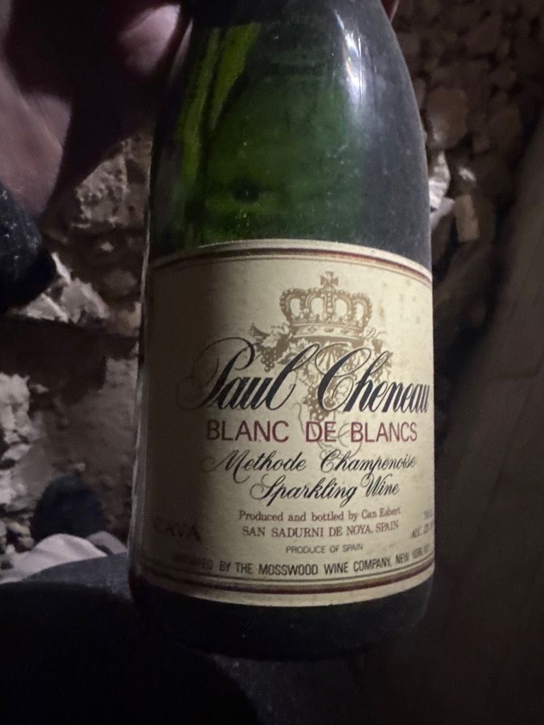NV Paul Cheneau Cava Blanc de Blancs Brut, Spain, Cava - CellarTracker