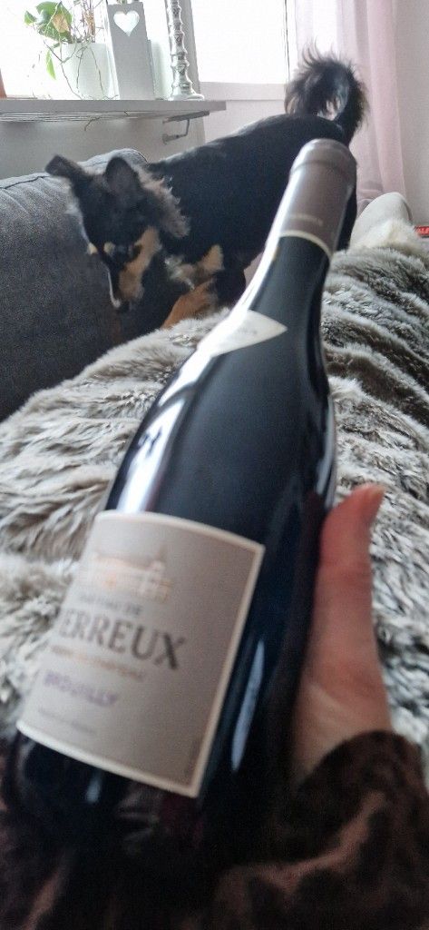 2021 Château de Pierreux Brouilly, France, Burgundy, Beaujolais ...