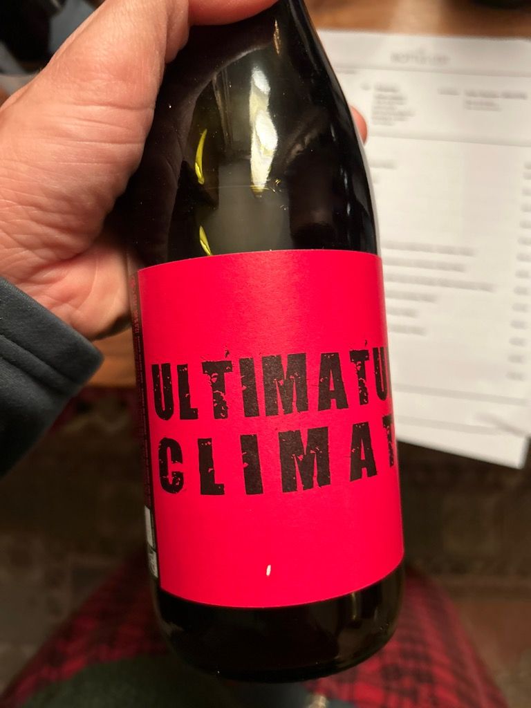 2018 Domaine Des Vignes du Maynes (Julien Guillot) Chénas Clos des ...