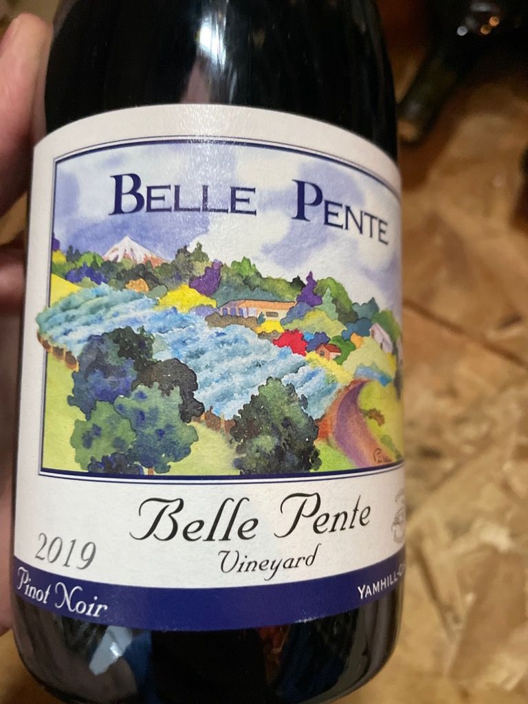 2019 Belle Pente Pinot Noir Belle Pente Vineyard, USA, Oregon ...
