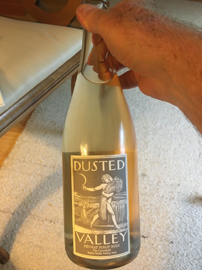 2020 Dusted Valley Vintners Pinot Noir Pét-Nat Breezy Slope Vineyard ...