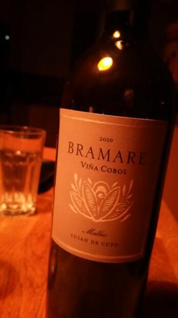 2010 Viña Cobos Malbec Bramare Marchiori Vineyard, Argentina, Mendoza ...