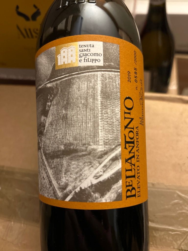 2019 Santi Giacomo e Filippo Bellantonio Elevato In Anfora Marche IGT ...