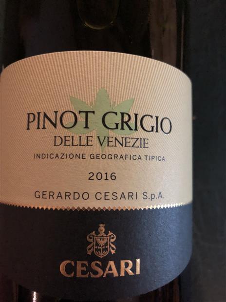 2016 Cesari Pinot Grigio Delle Venezie, Italy, Delle Venezie ...