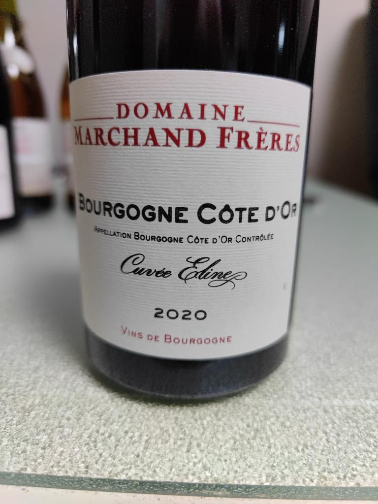 2020 Domaine Marchand Freres Bourgogne Côte d'Or Cuvée Eline, France ...