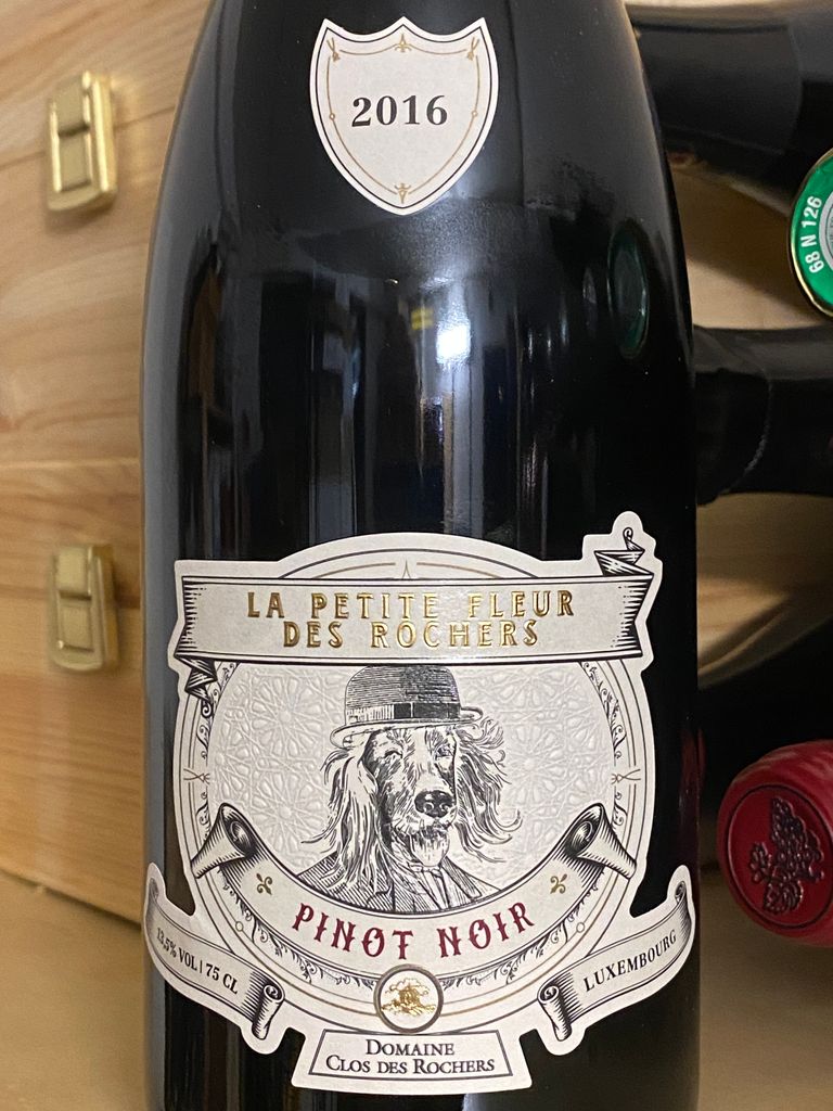 2022 Domaine Clos des Rochers Pinot Noir La Petite Fleur des Rochers ...