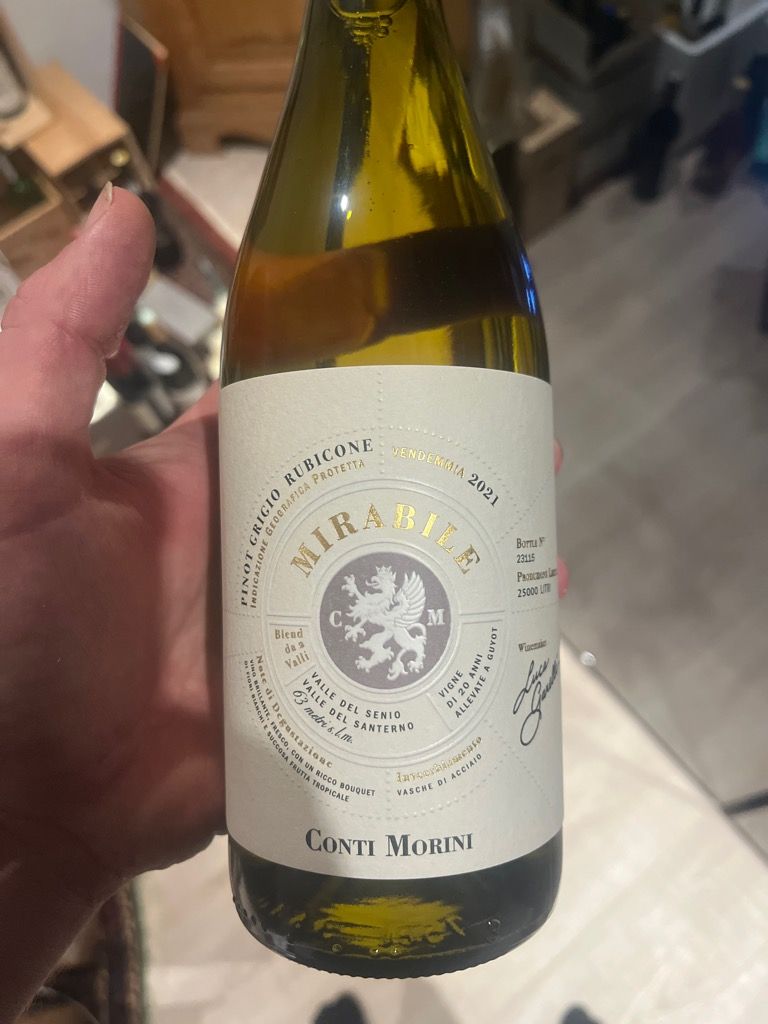 2024 Conti Morini Pinot Grigio Rubicone Mirabile, Italy, Emilia-Romagna ...