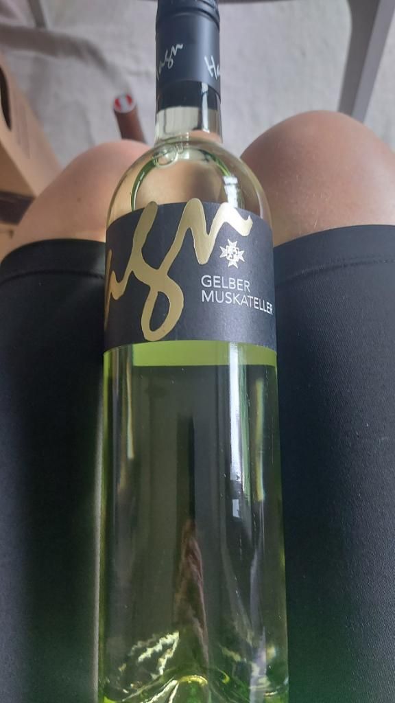 2024 Weingut Hagn Gelber Muskateller, Austria, Niederösterreich ...