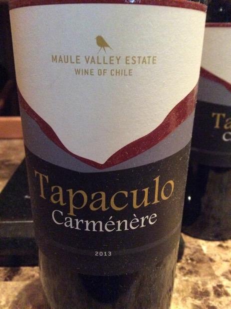 2013 Tapaculo Wines Maule Valley Estate, Chile, Maule Valley ...