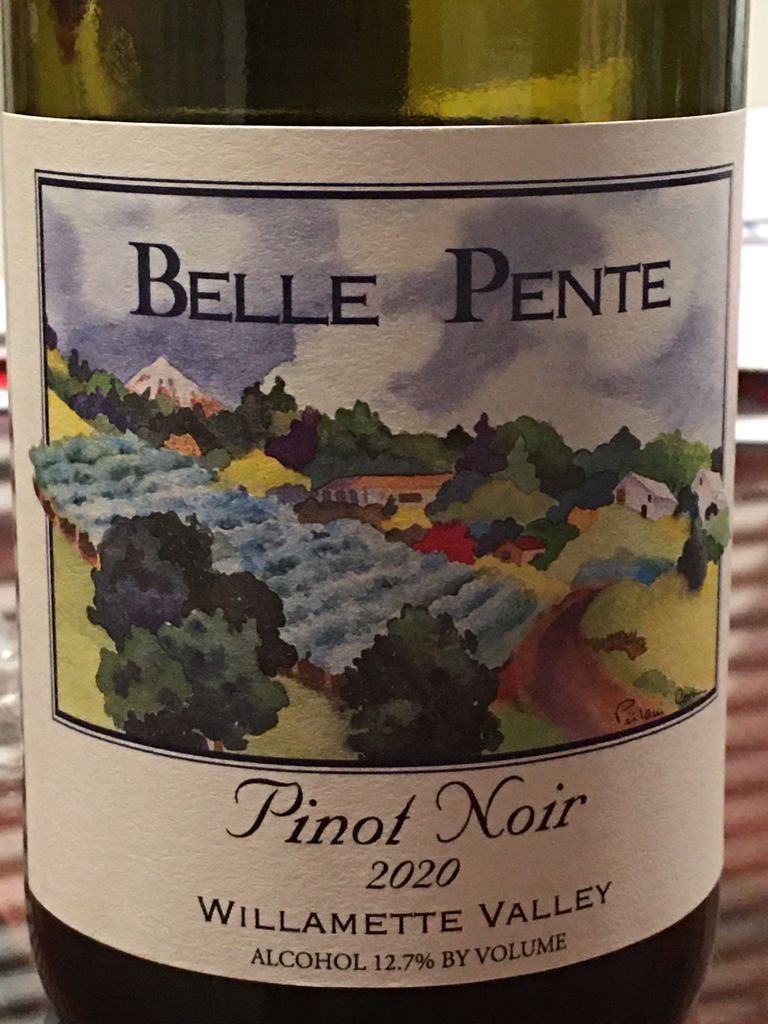 2020 Belle Pente Pinot Noir Willamette Valley, USA, Oregon, Willamette ...
