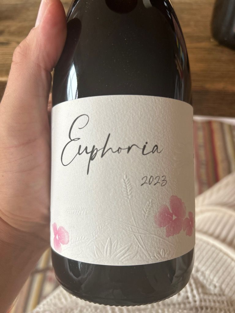 2022 Jérémy Carteret Bourgogne Hautes-Côtes de Beaune Euphoria, France ...