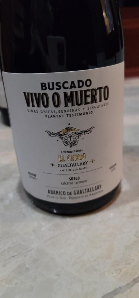 2021 Buscado Vivo o Muerto (Sejanovich-Mausbach) Malbec El Cerro ...