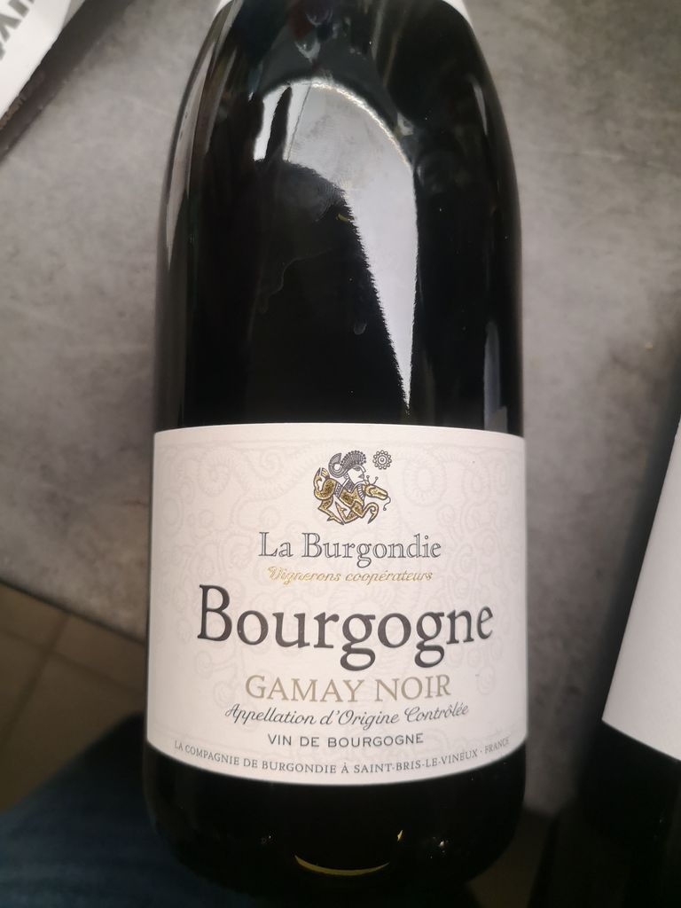 2020 La Burgondie Gamay Noir Bourgogne, France, Burgundy, Bourgogne ...