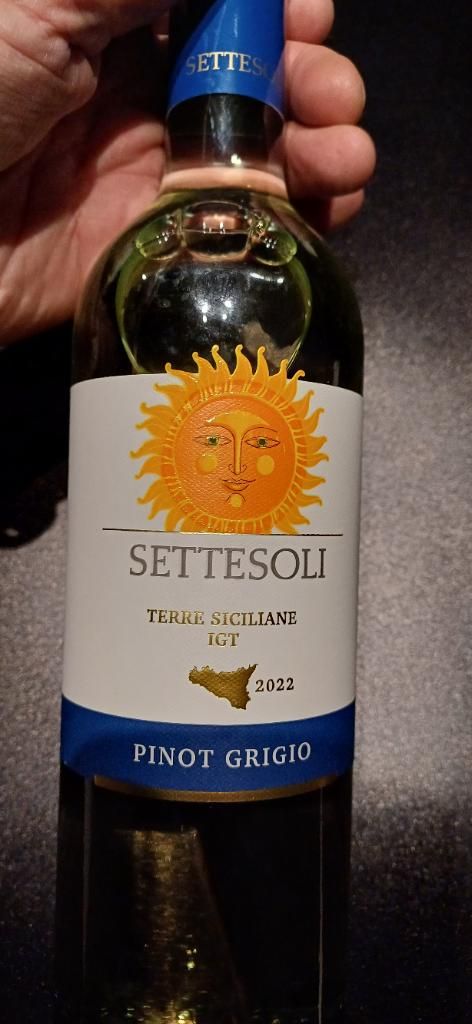 2021 Cantine Settesoli Pinot Grigio Sicilia, Italy, Sicily, Sicilia ...