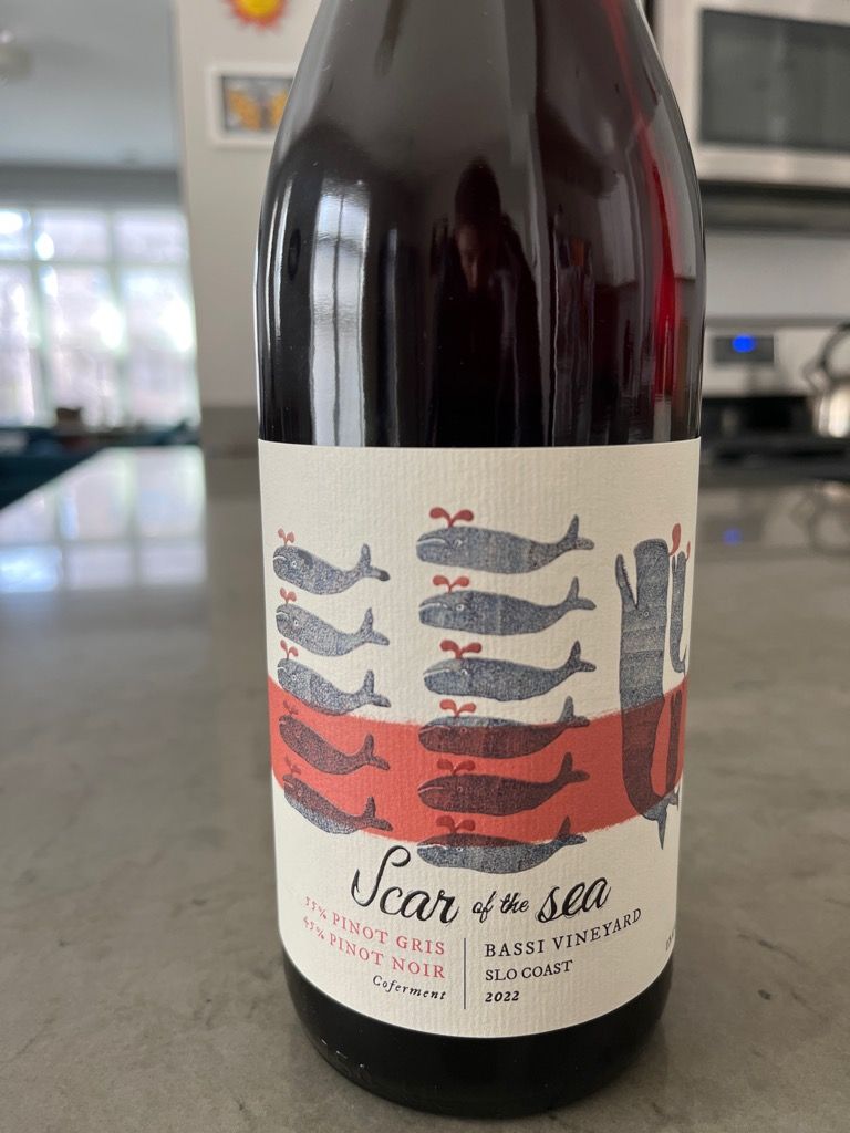 2023 Scar of the Sea Wines Pinot Gris & Pinot Noir CoFerment Bassi ...