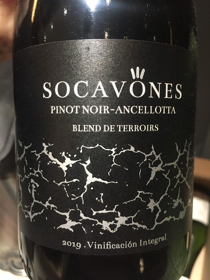 2020 Bodega Terra Camiare Socavones Pinot Noir-Ancellotta Blend of ...