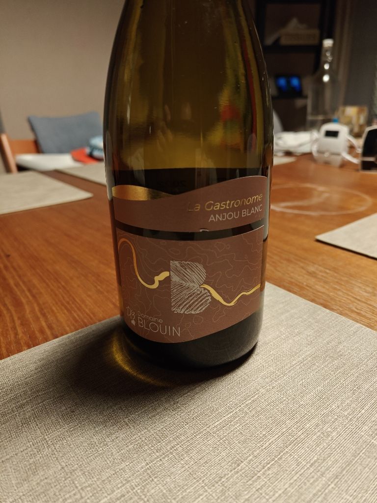 2022 Domaine Michel Blouin Anjou Le Gastronome, France, Loire Valley ...