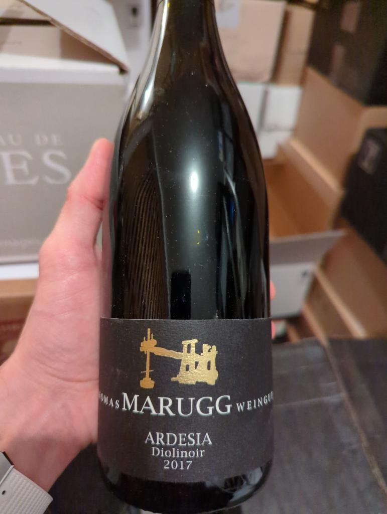 2021 Fam. Thomas Marugg Diolinoir Ardesia, Switzerland, Eastern ...