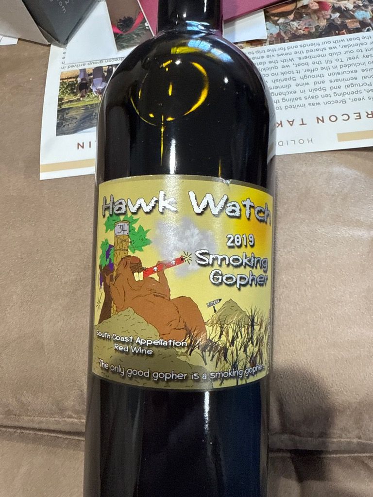 2019 Hawk Watch Smoking Gopher, USA, California, South Coast ...