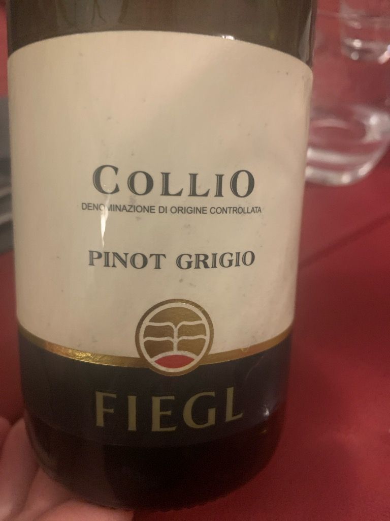 2022 Azienda Agricola Fiegl Collio Pinot Grigio, Italy, Friuli-Venezia ...
