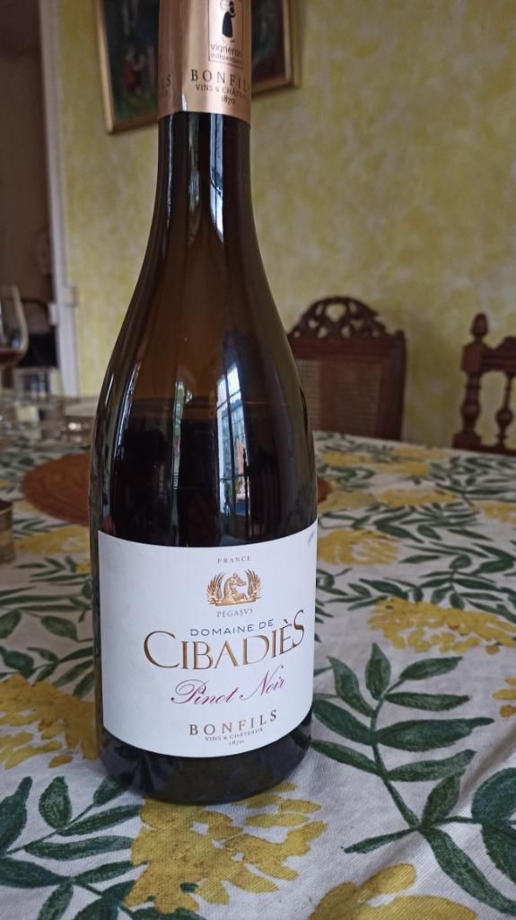 2017 Vignobles Bonfils Pinot Noir Vin de Pays d'Oc Pegasus Domaine de ...