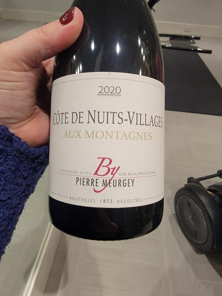 2020 Pierre Meurgey Côte de Nuits Villages Aux Montagnes, France ...