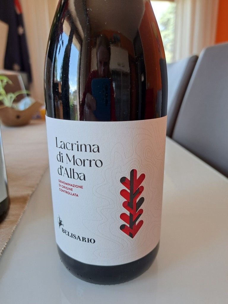 2024 Belisario Lacrima di Morro d'Alba, Italy, Marche, Lacrima di Morro ...