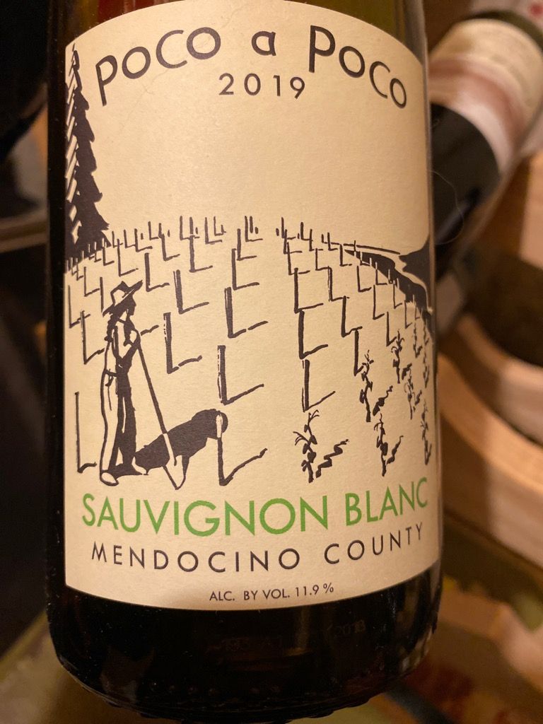 2019 Poco a Poco Sauvignon Blanc, USA, California, North Coast ...