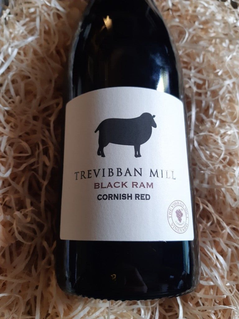 2019 Trevibban Mill Black Ram, United Kingdom, England, South West ...