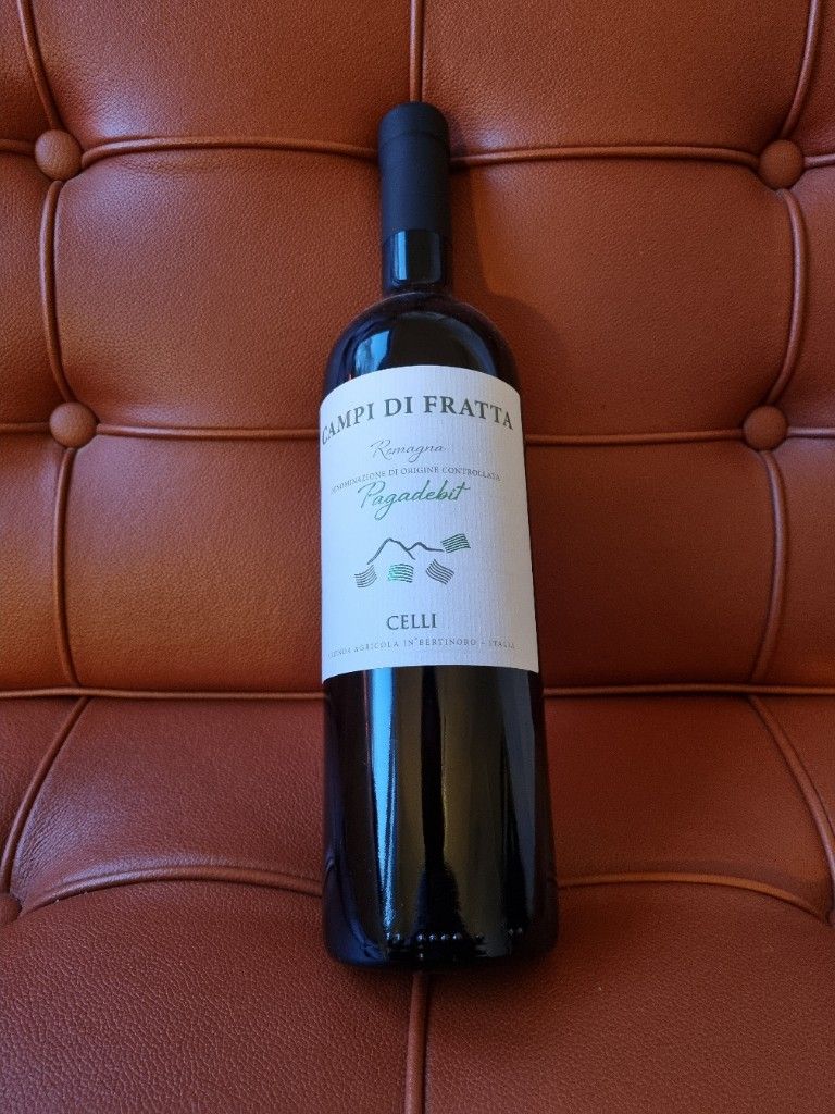 2021 Celli Pagadebit Romagna Campi di Fratta, Italy, Emilia-Romagna ...