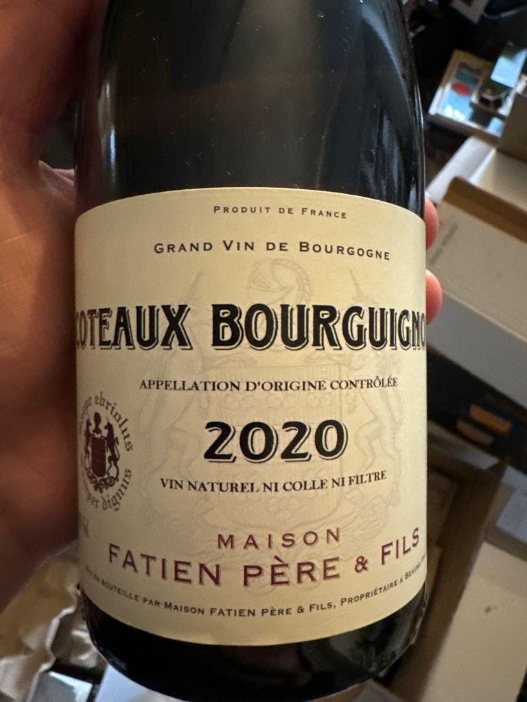 2024 Maison Fatien Père et Fils Coteaux Bourguignons Blanc, France ...
