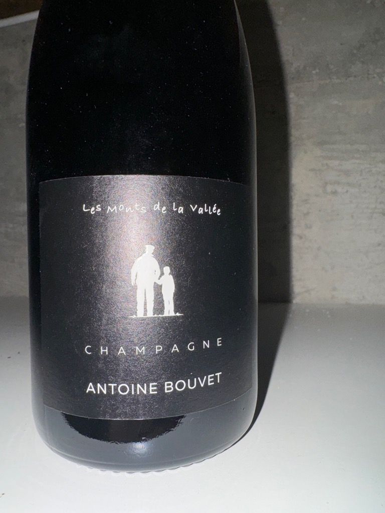 2020 Antoine Bouvet Champagne, France, Champagne - CellarTracker