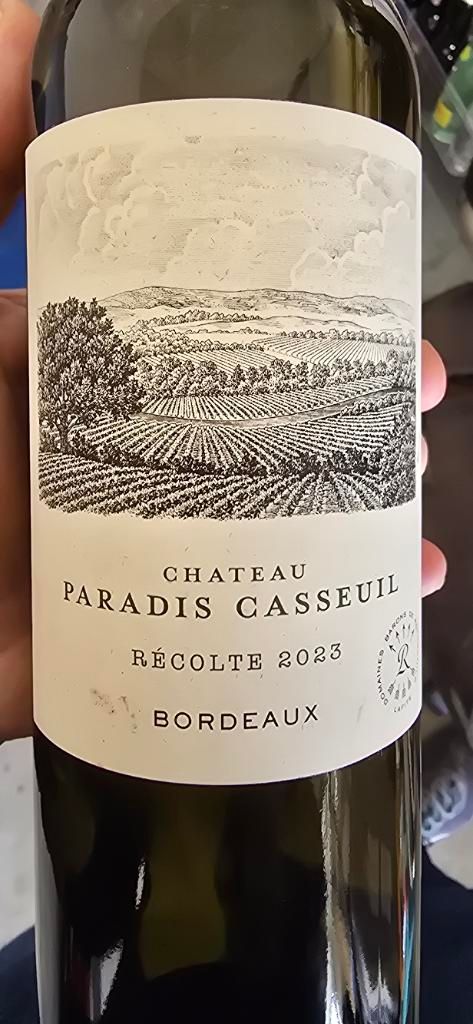 2023 Château Paradis Casseuil Bordeaux Blanc, France, Bordeaux ...