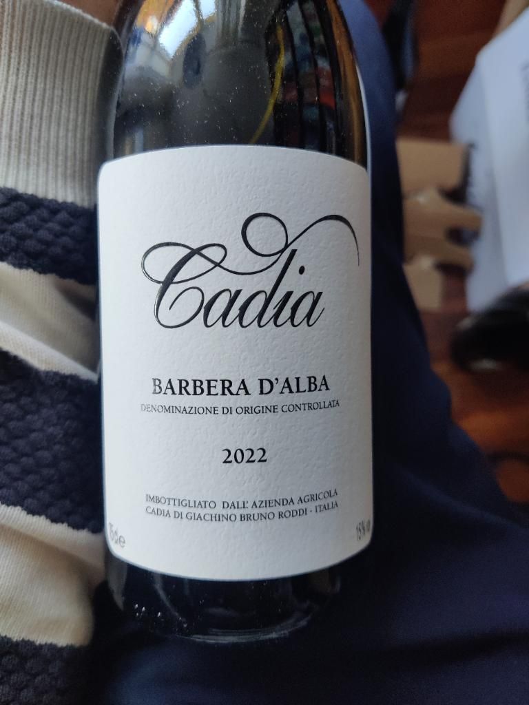 2023 Cadia Barbera d'Alba, Italy, Piedmont, Alba, Barbera d'Alba ...