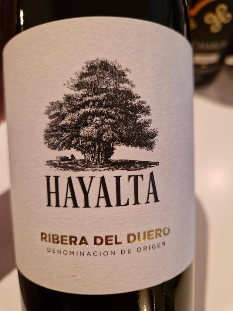 2021 Bodegas Reyes Ribera del Duero Teofilo Reyes, Spain, Castilla y ...