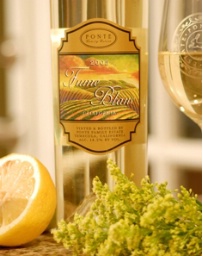 1850 Ponte Winery Fumé Blanc, USA, California, South Coast, Temecula ...