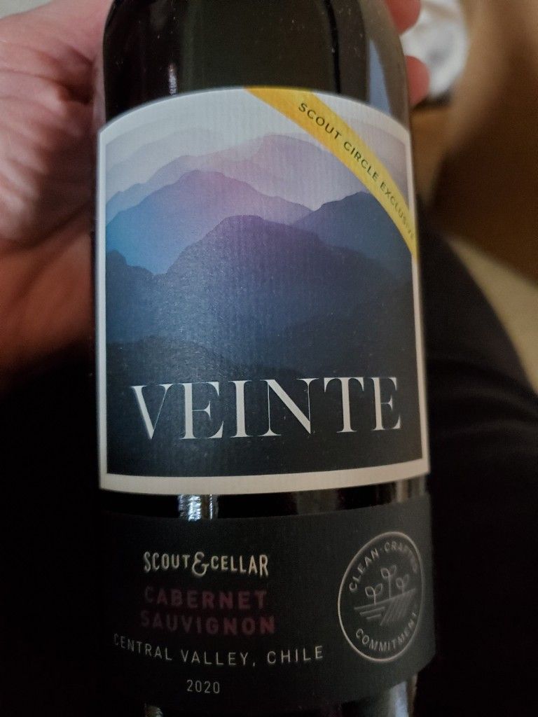 2020 Scout and Cellar Cabernet Sauvignon Veinte, Chile, Maipo Valley ...